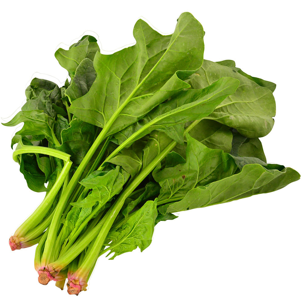 Espinaca envasada - disco